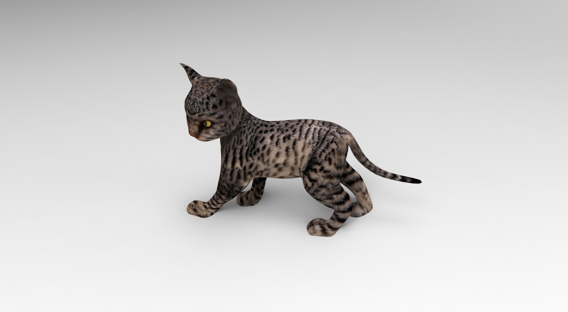 Cat Rigged Animation Model - TurboSquid 1204528