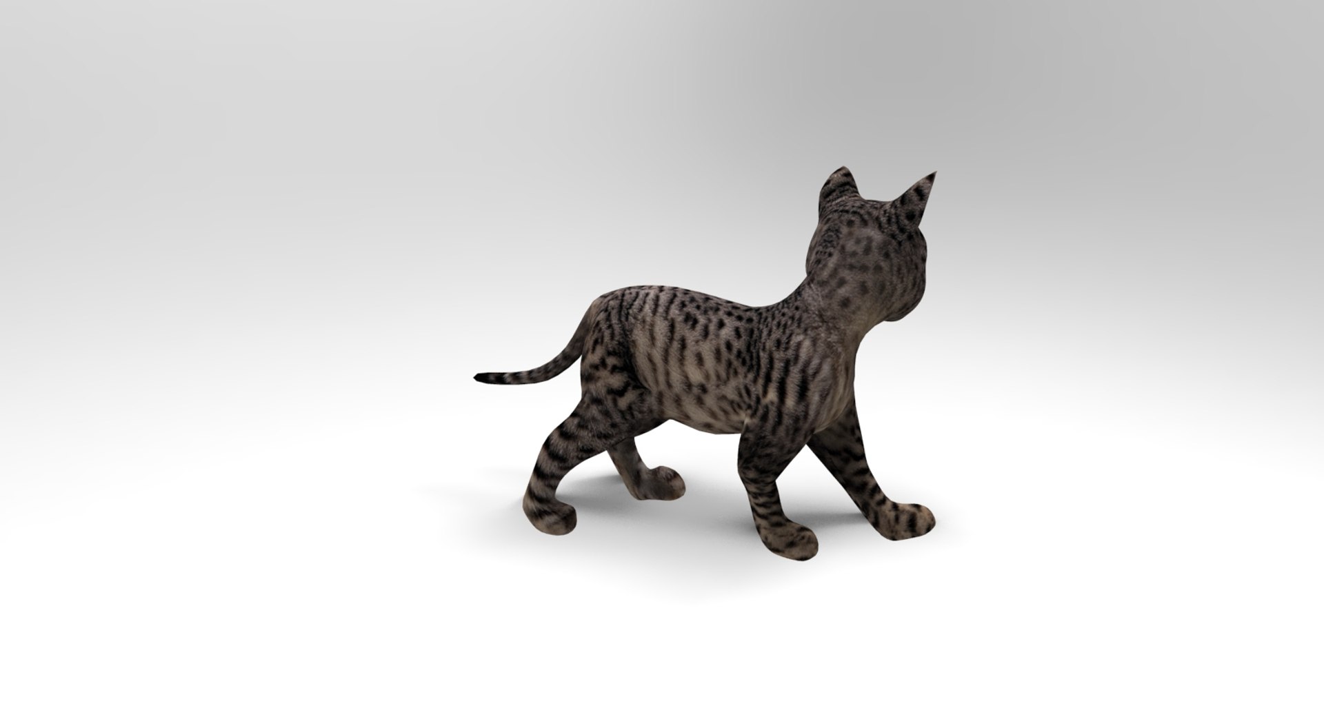 Cat Rigged Animation Model - TurboSquid 1204528