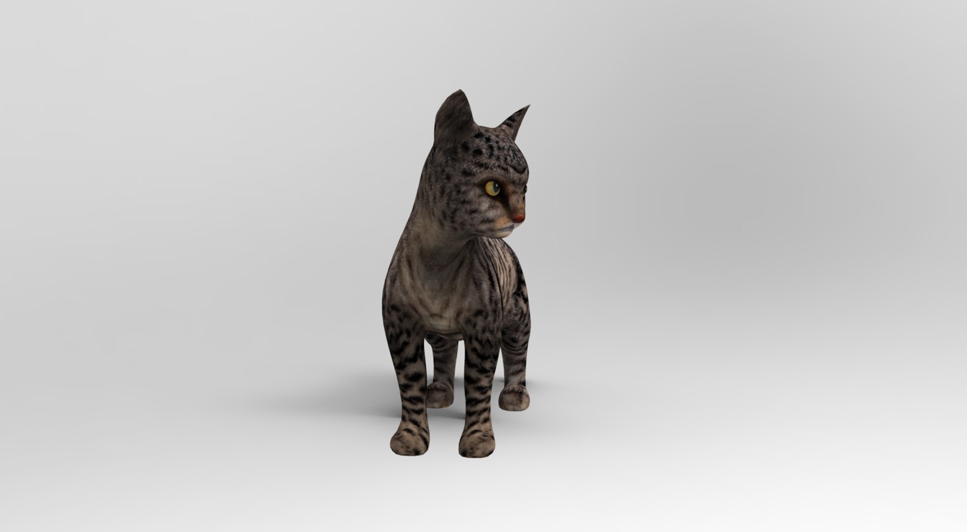 Cat Rigged Animation Model - TurboSquid 1204528