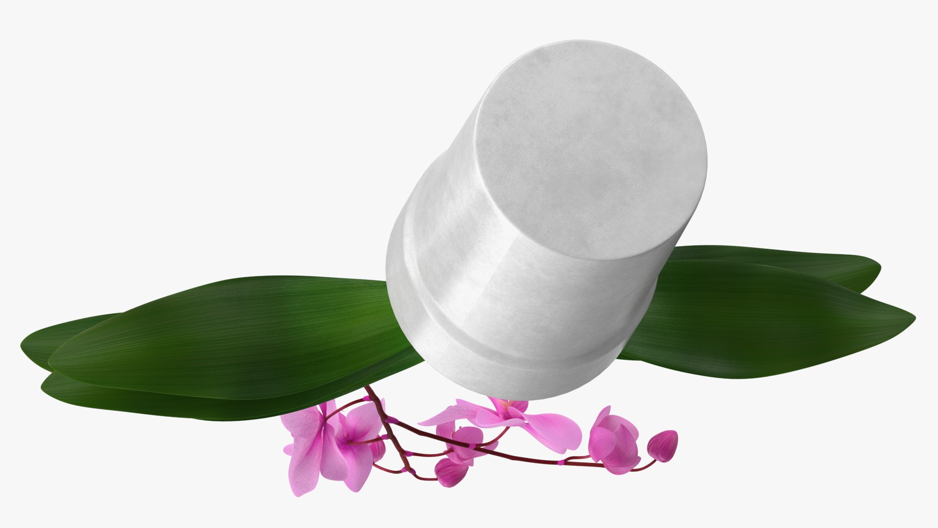 Pink Orchid And White Pot Model - TurboSquid 2083566