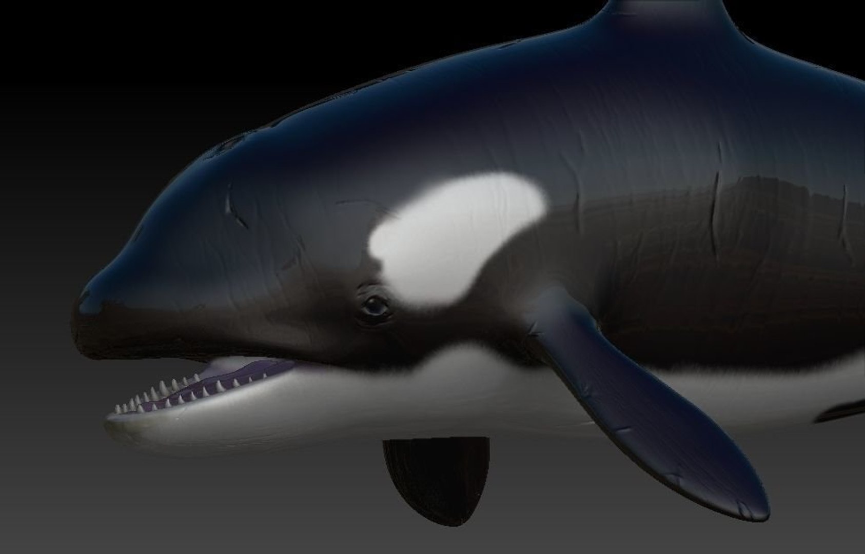 3D Rigged Orca Model - TurboSquid 1389543