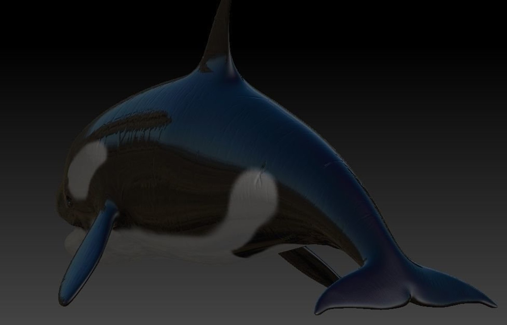 3D Rigged Orca Model - TurboSquid 1389543