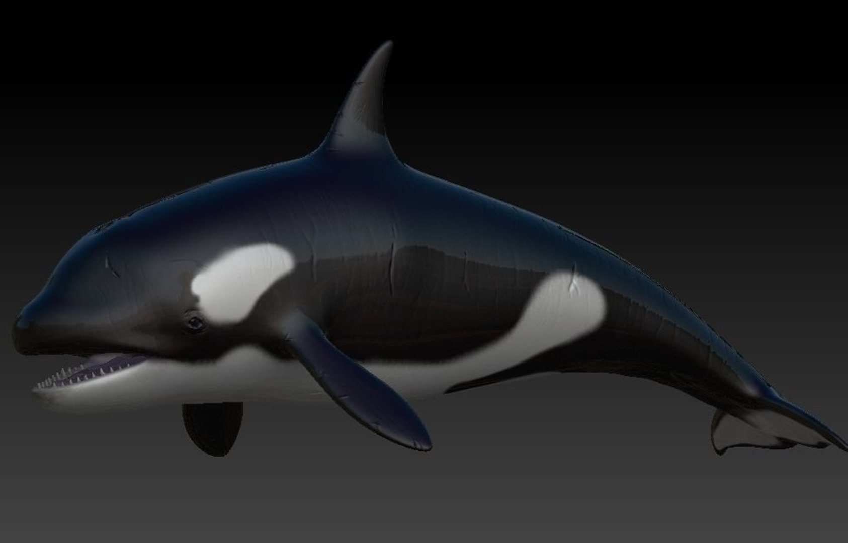 3D Rigged Orca Model - TurboSquid 1389543