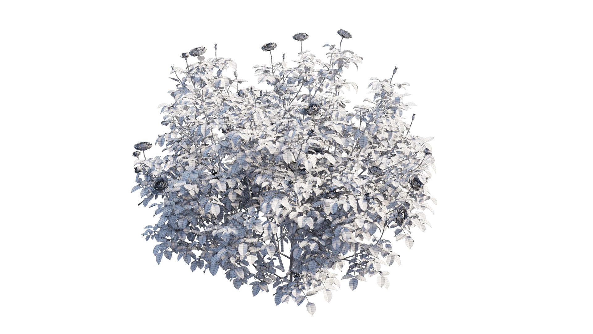 3D Rose Plant Set 52 - TurboSquid 1728178