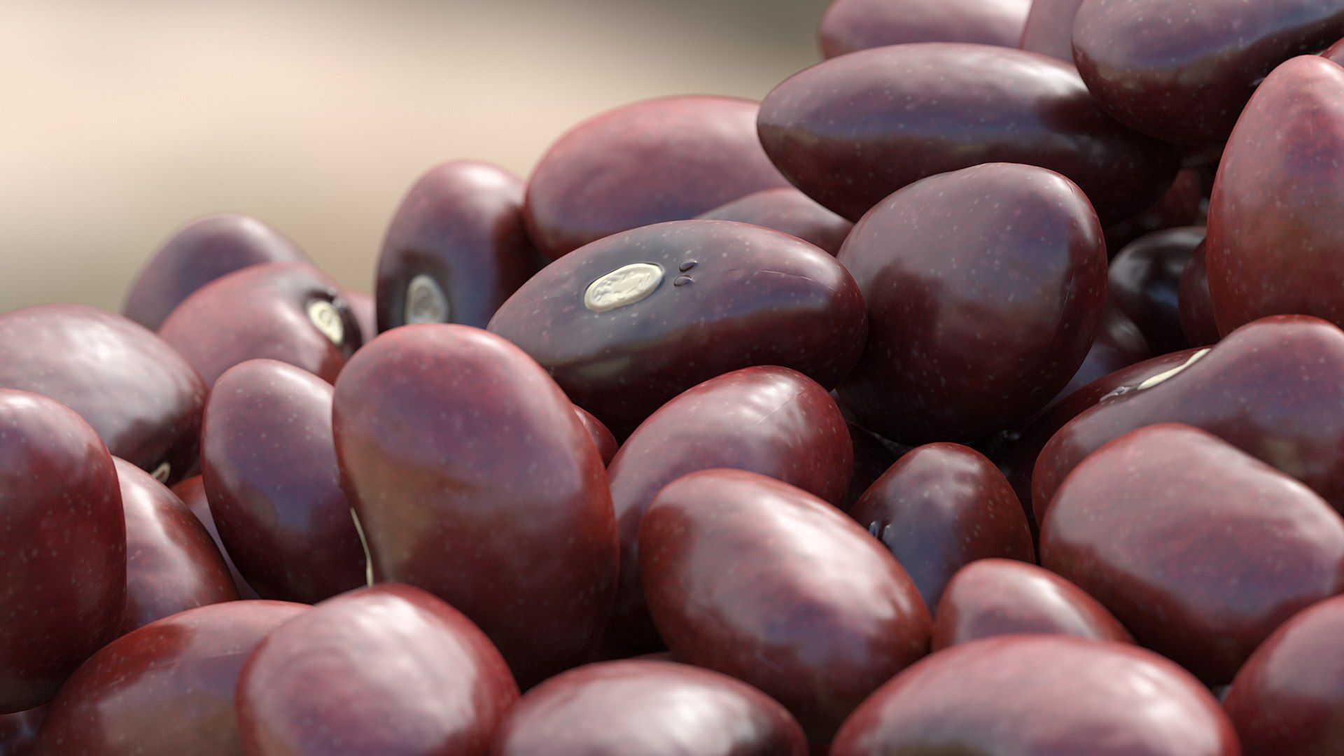 3D Dark Red Kidney Beans - TurboSquid 1551354
