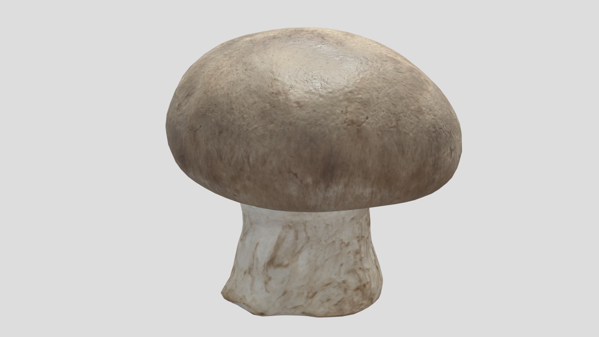 3D Fresh Mushroom 01 Low Poly Model - TurboSquid 2273614