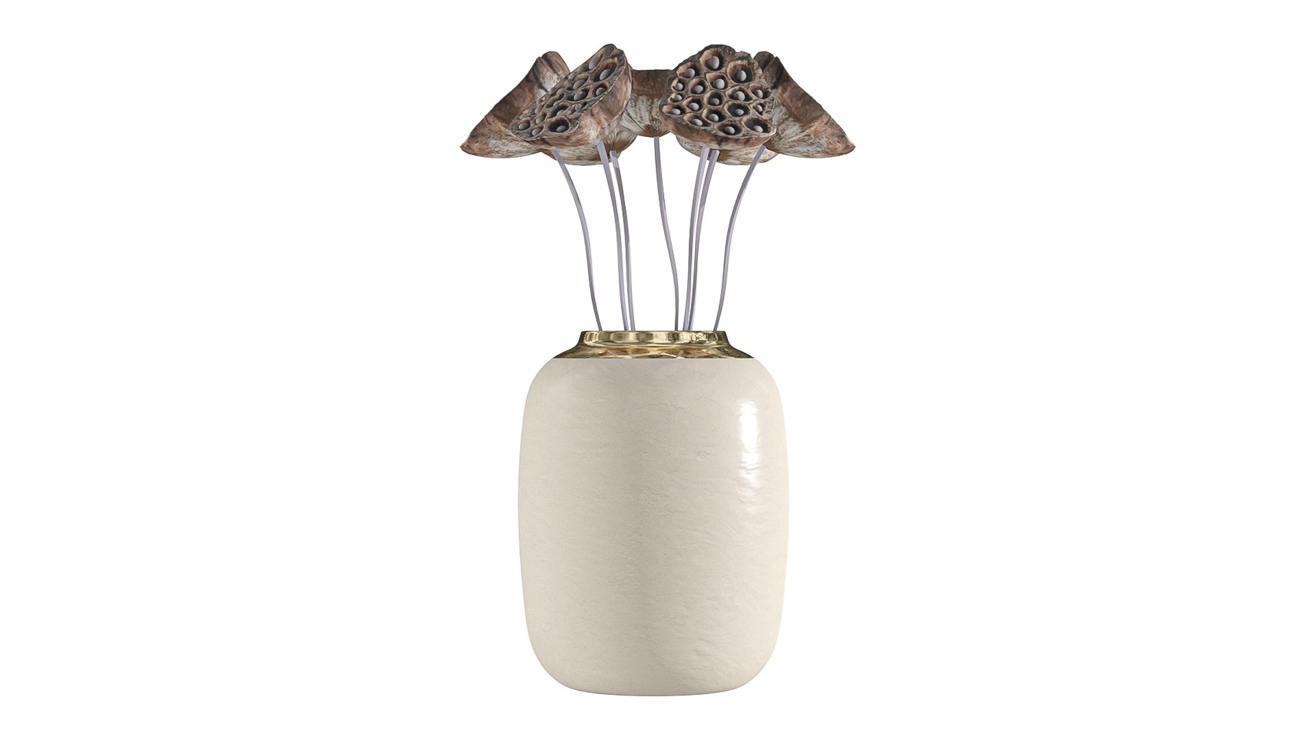 Dried Lotus 3D Model - TurboSquid 2200290