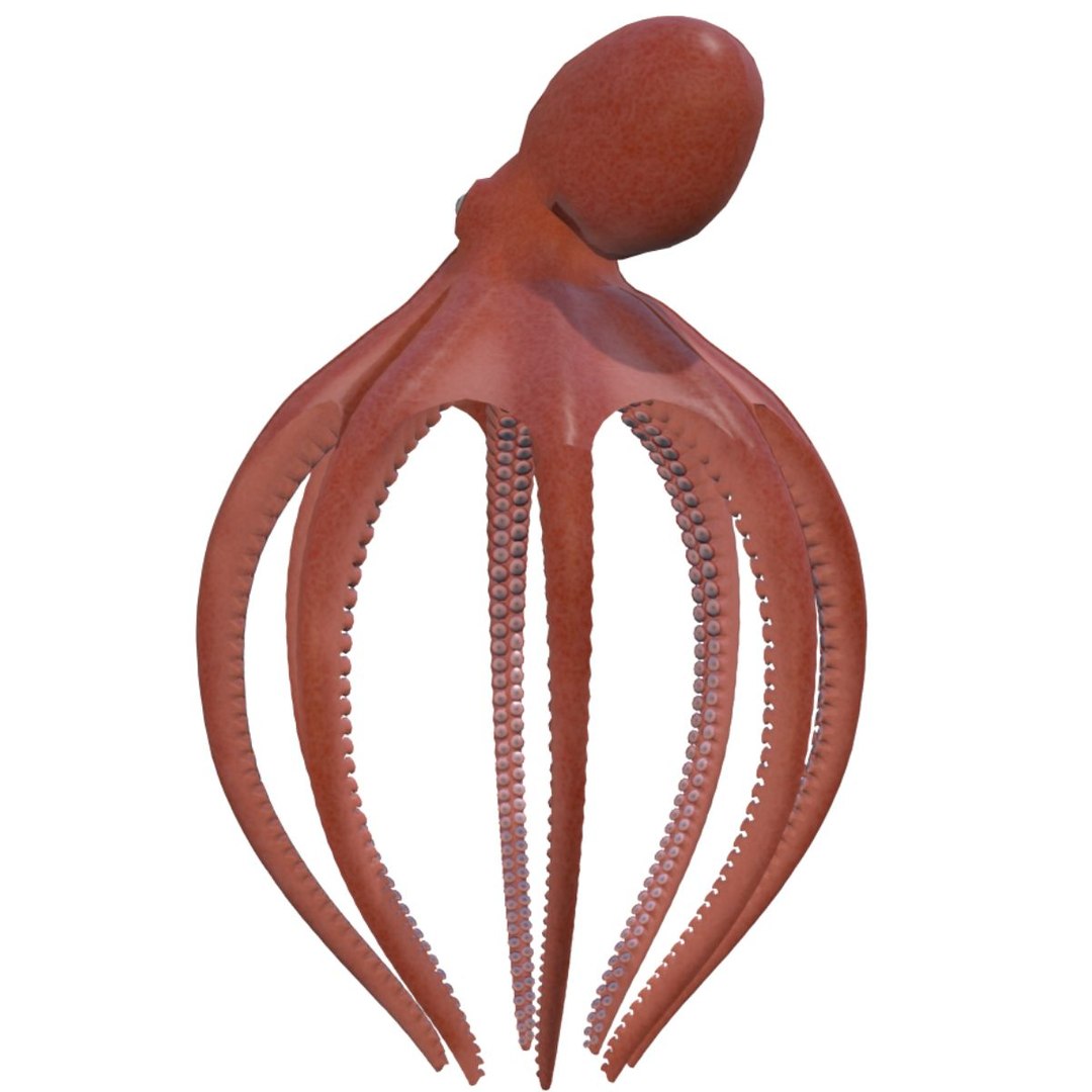3D Model Giant Pacific Octopus 3D Model - TurboSquid 2311804