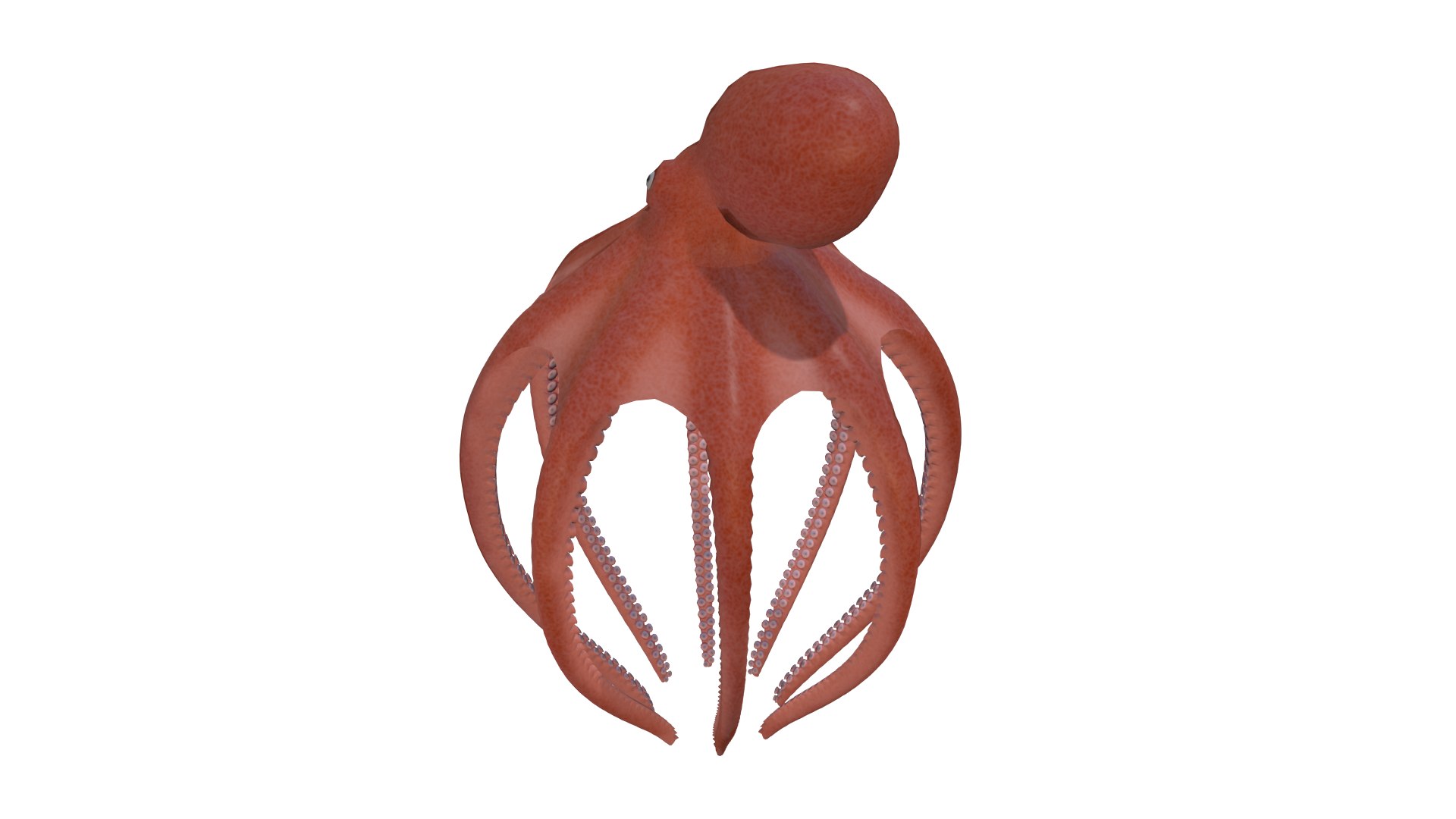 3D Model Giant Pacific Octopus 3D Model - TurboSquid 2311804