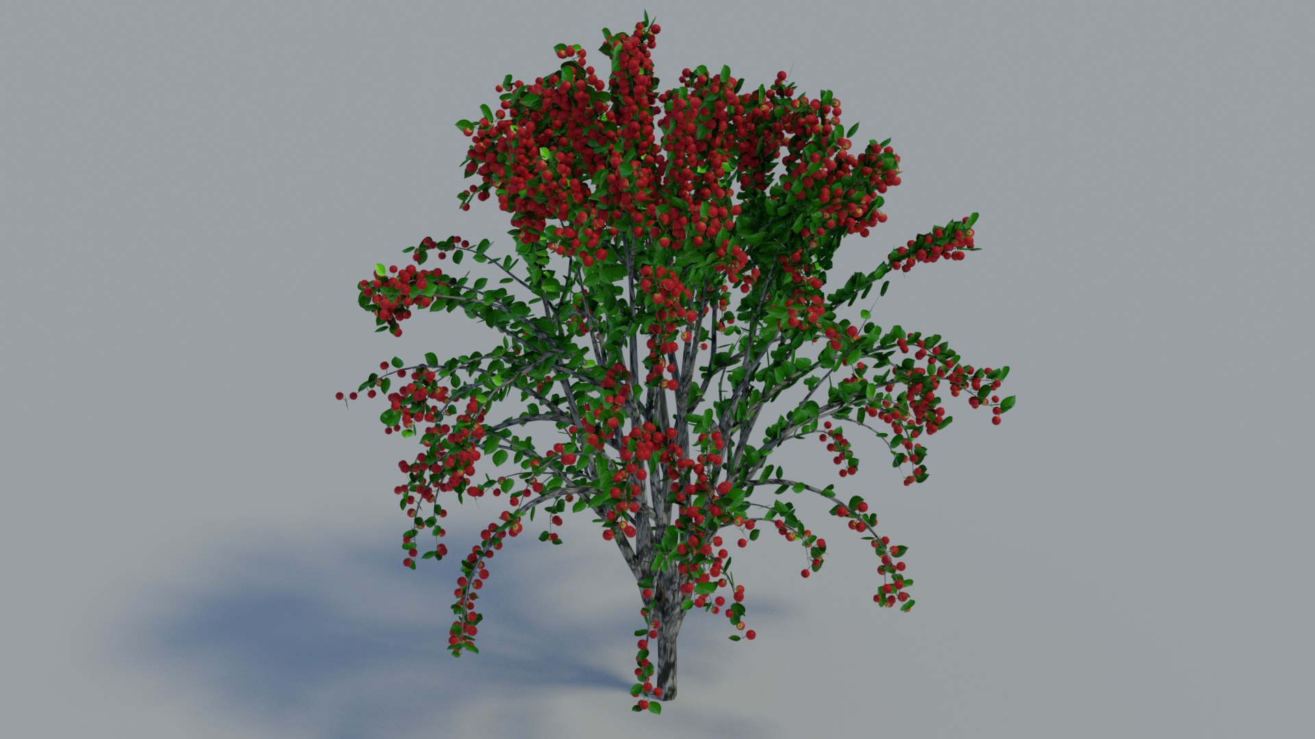 AppleTree 3D Model - TurboSquid 1954416