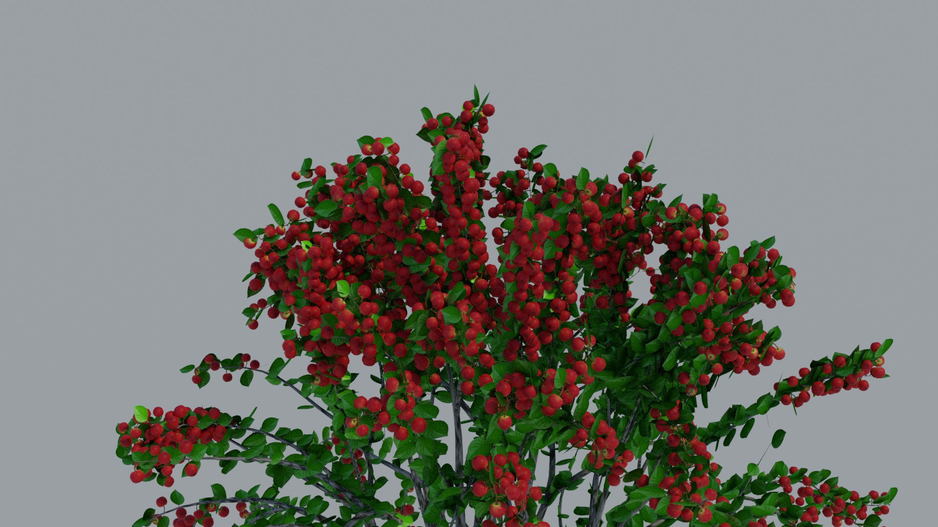 AppleTree 3D Model - TurboSquid 1954416