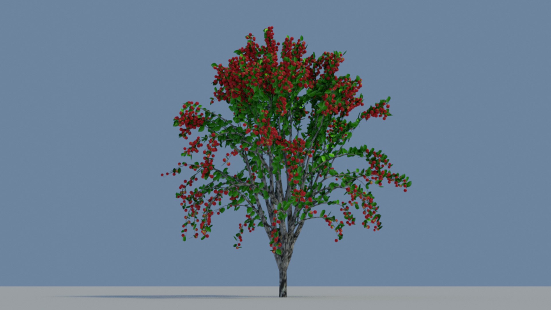 AppleTree 3D Model - TurboSquid 1954416