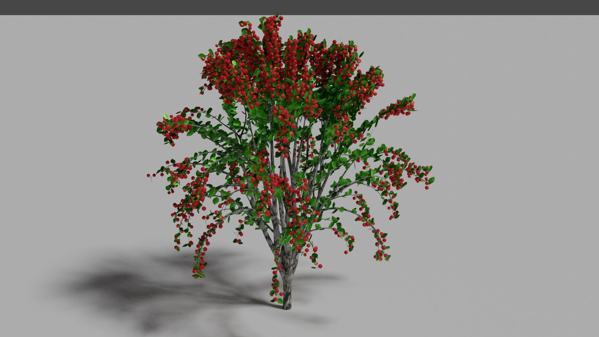 AppleTree 3D Model - TurboSquid 1954416