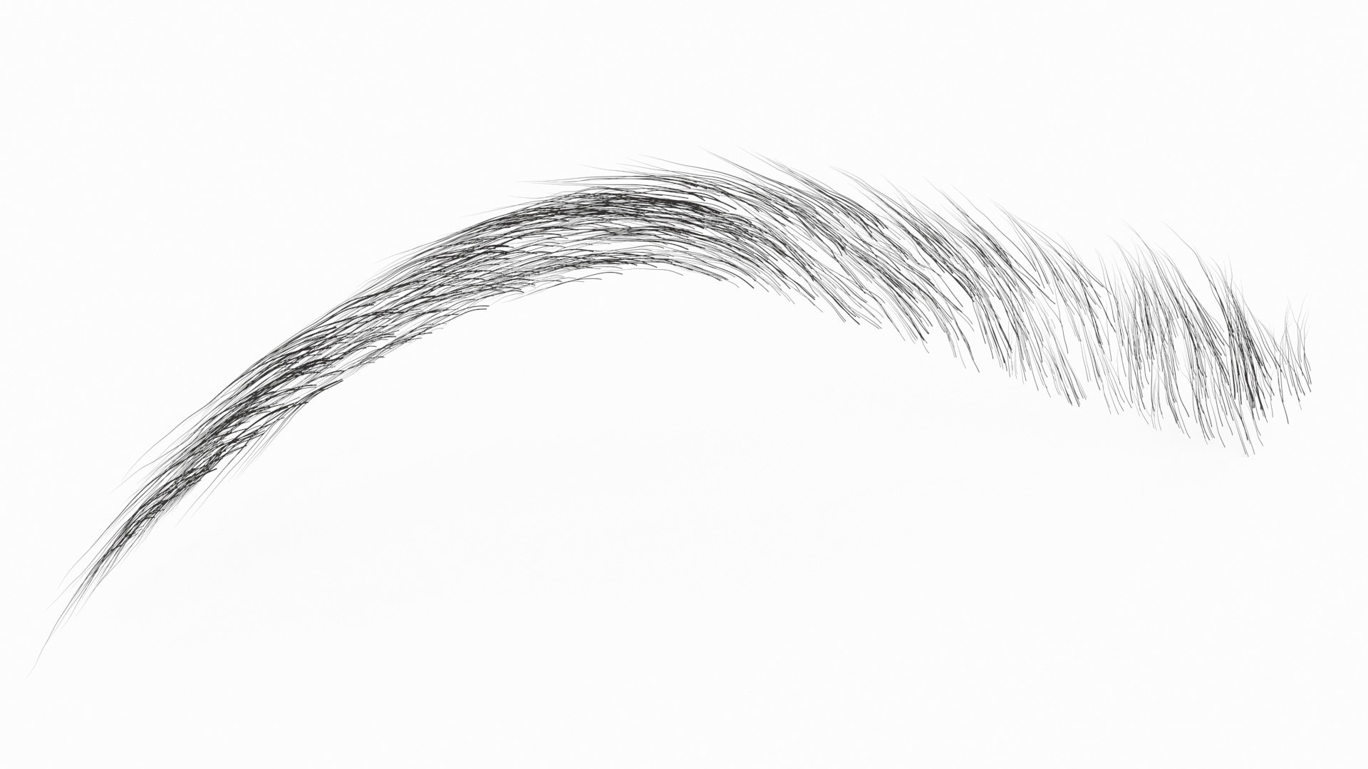 Eyebrows Shapes Set 3D Model - TurboSquid 2214376