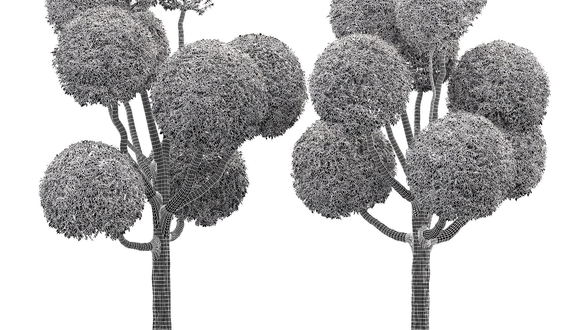 3D Fancy Shaped Decorative Tree-vray Max Model - TurboSquid 2245059