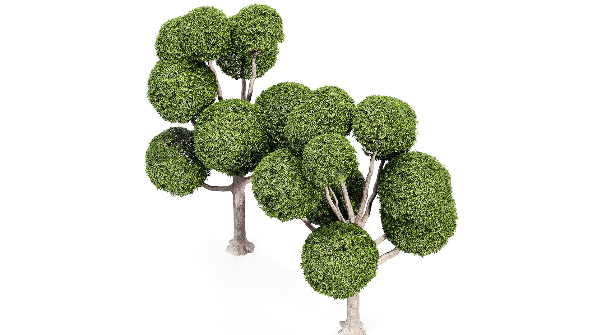 3D Fancy Shaped Decorative Tree-vray Max Model - TurboSquid 2245059