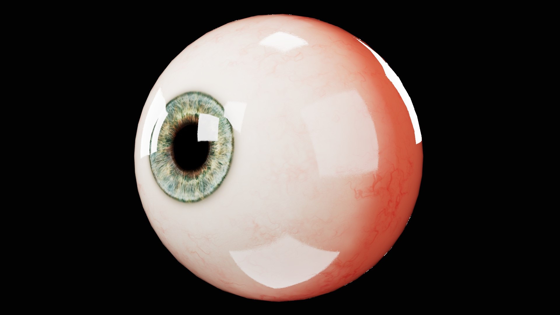 Olho humano realista Modelo 3D - TurboSquid 1843545