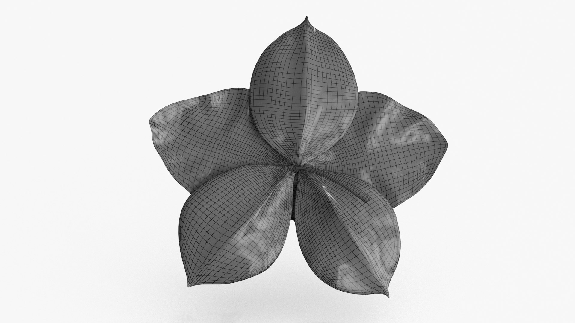 3D Orchid Flower 3 Colors - TurboSquid 2147556