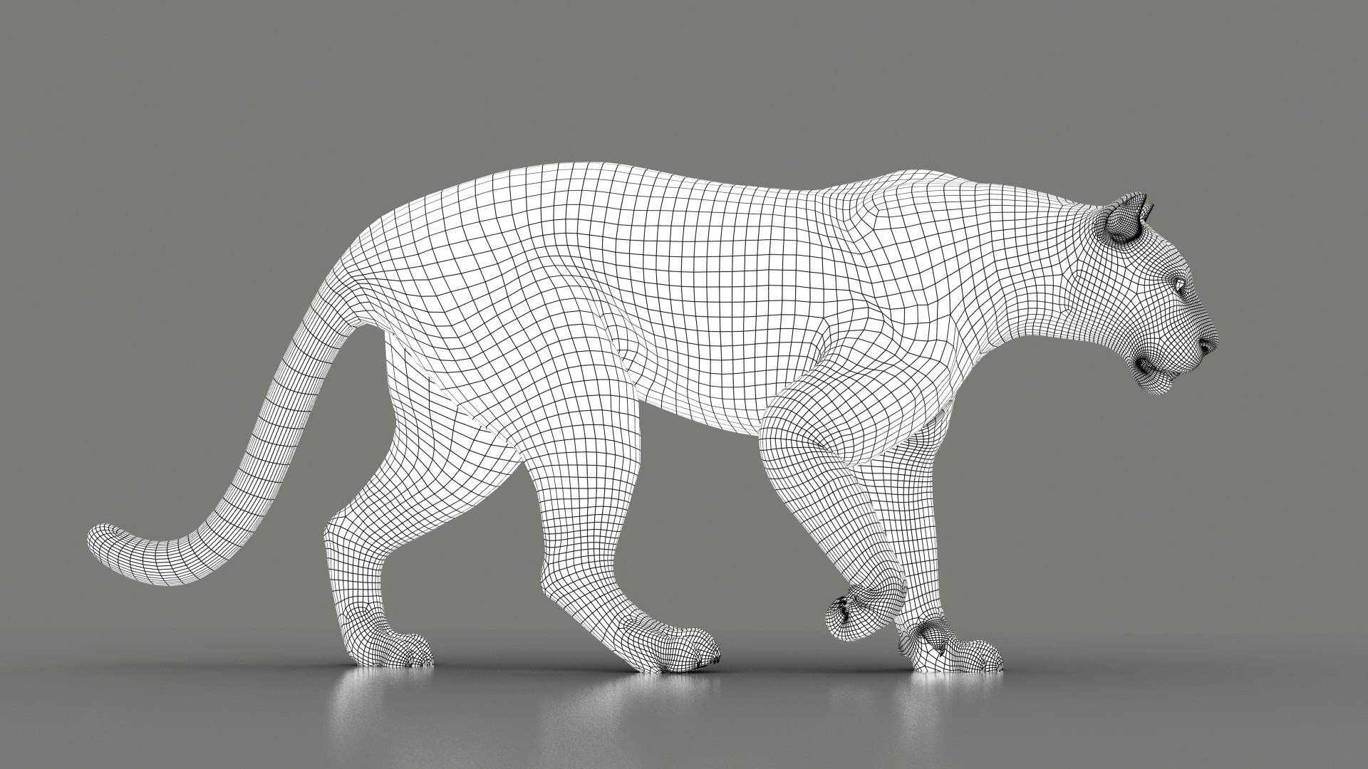 3D BLACK JAGUAR RIG XGEN-CORE Model - TurboSquid 1735315