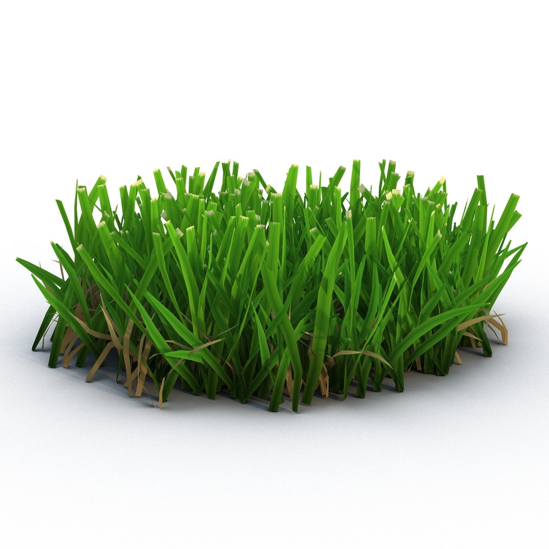 3d Grass 5 Model