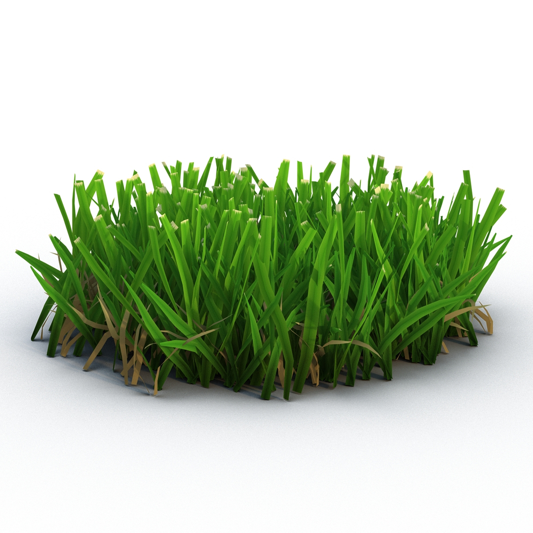 3d grass 5 model