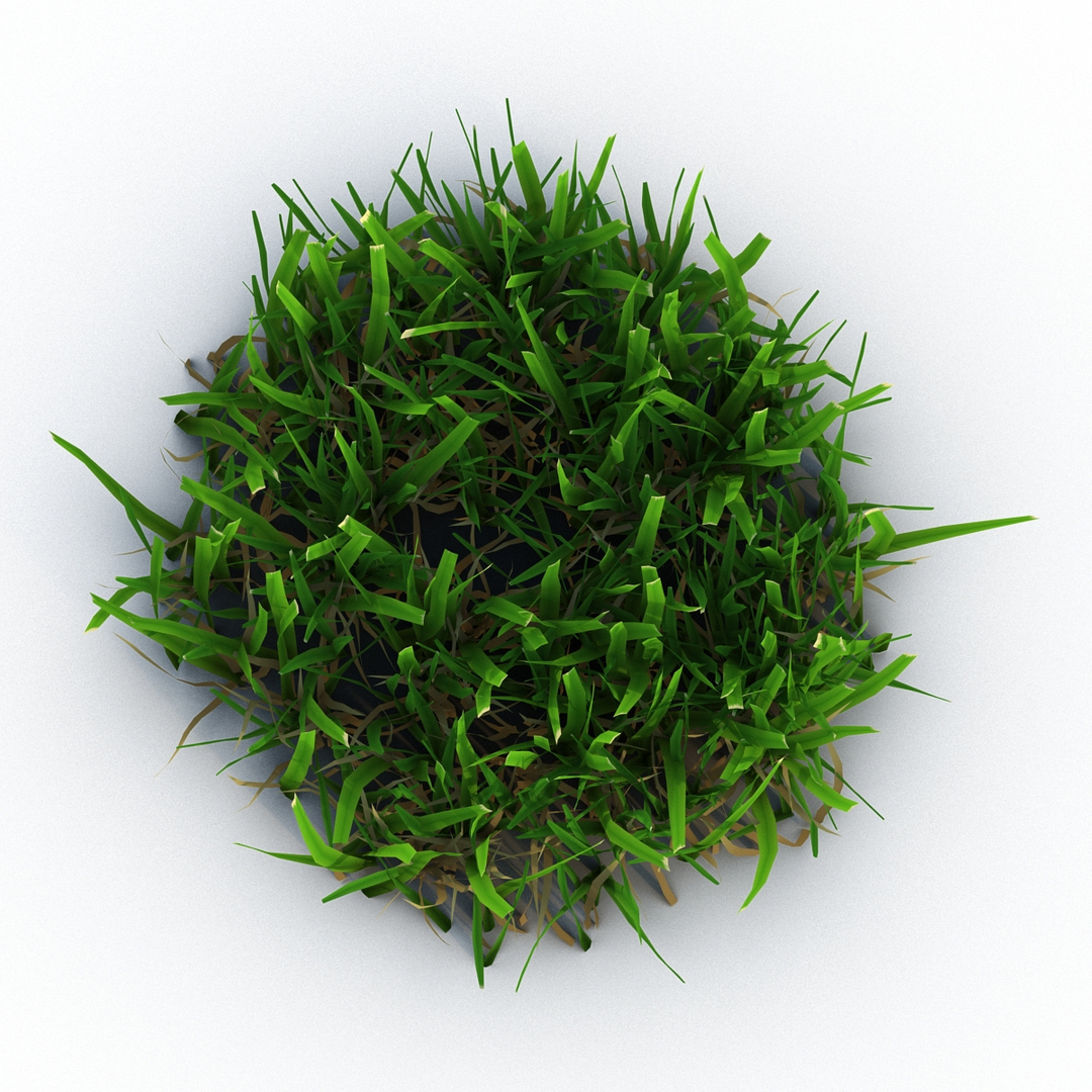 3d grass 5 model
