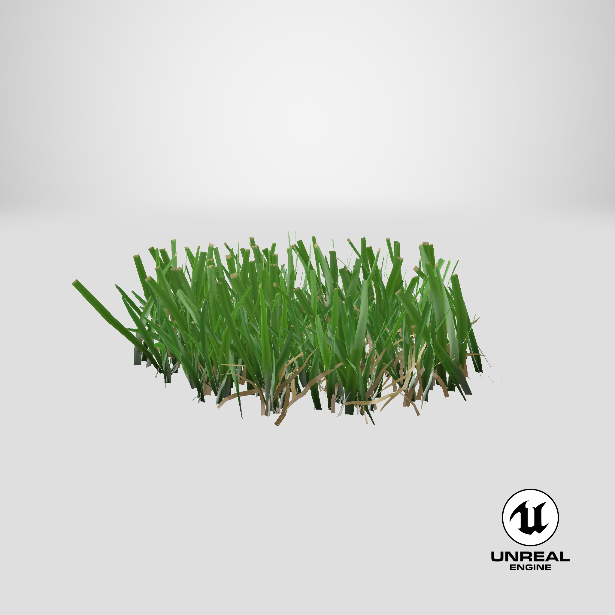 3d grass 5 model