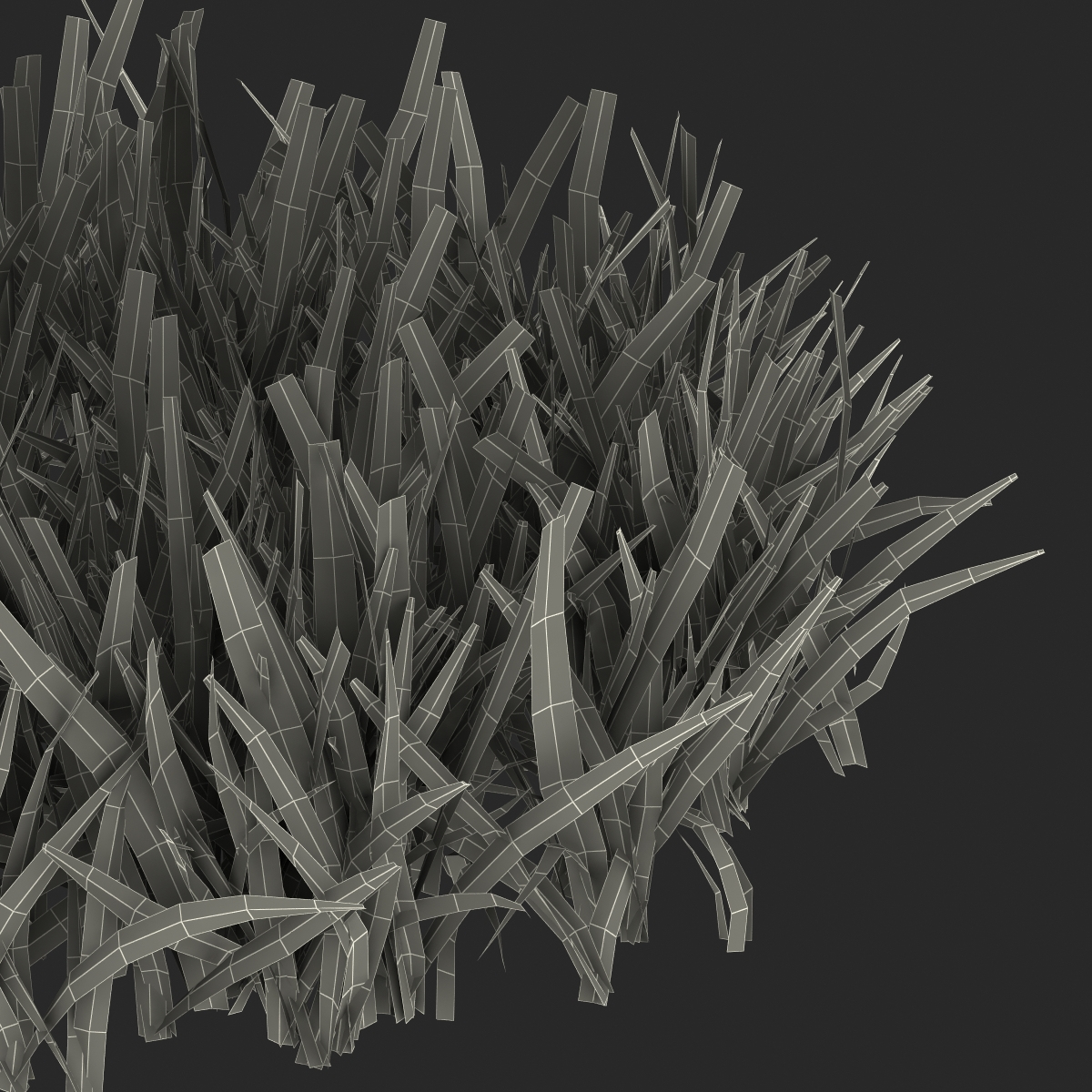 3d grass 5 model