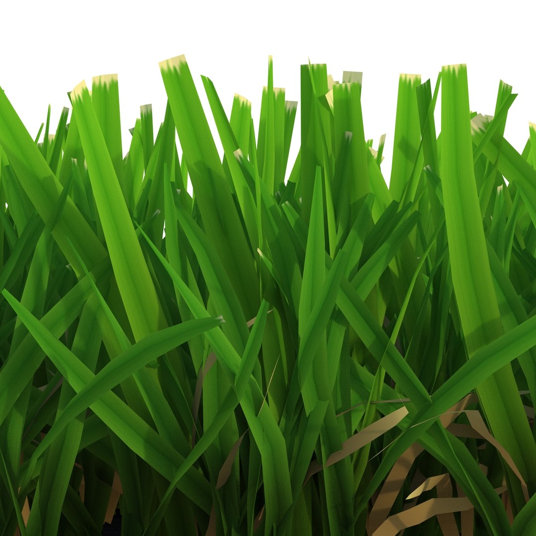 3d Grass 5 Model