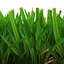 3d Grass 5 Model