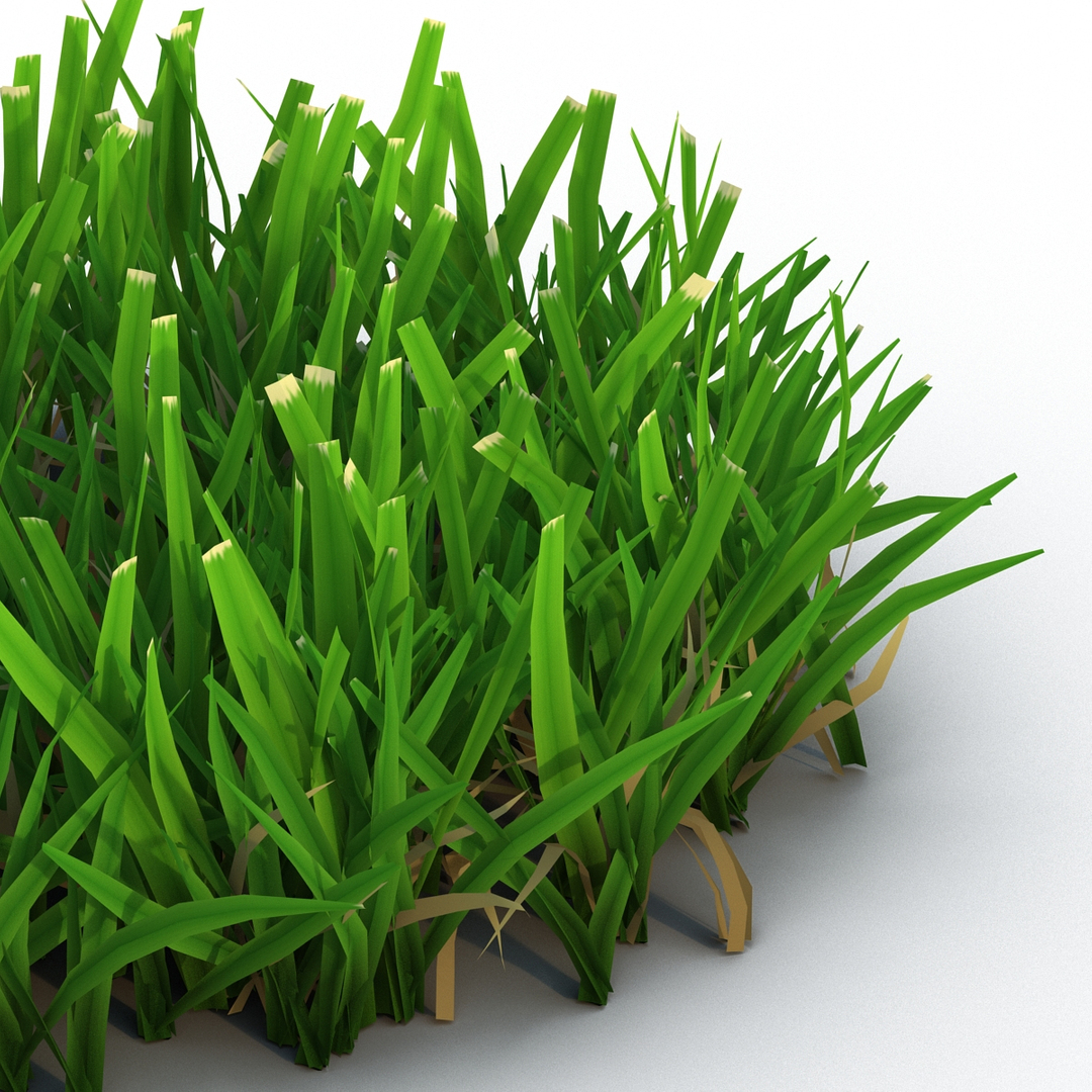 3d grass 5 model