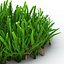3d Grass 5 Model