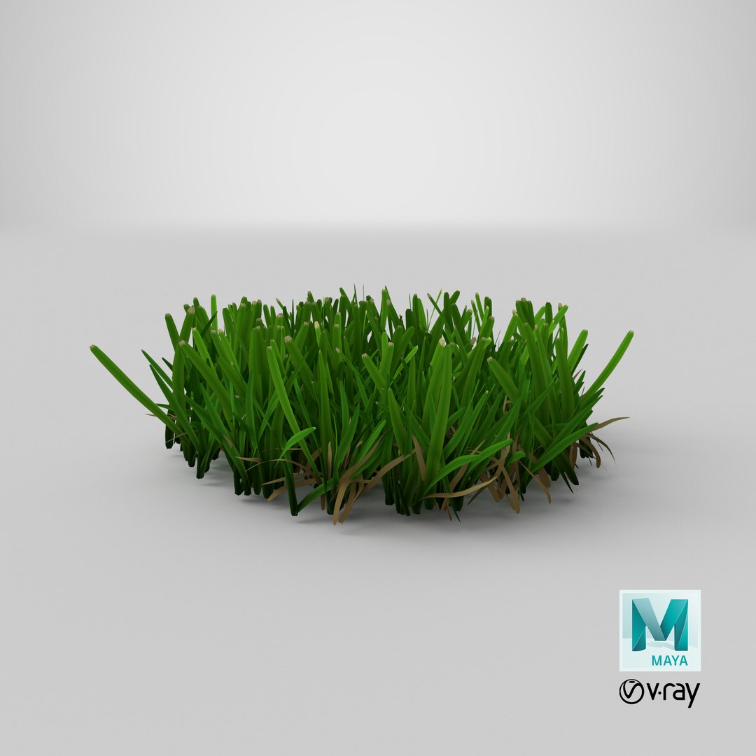 3d grass 5 model