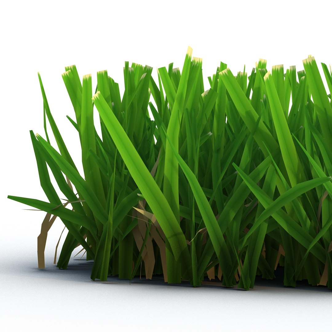 3d Grass 5 Model