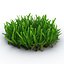 3d Grass 5 Model