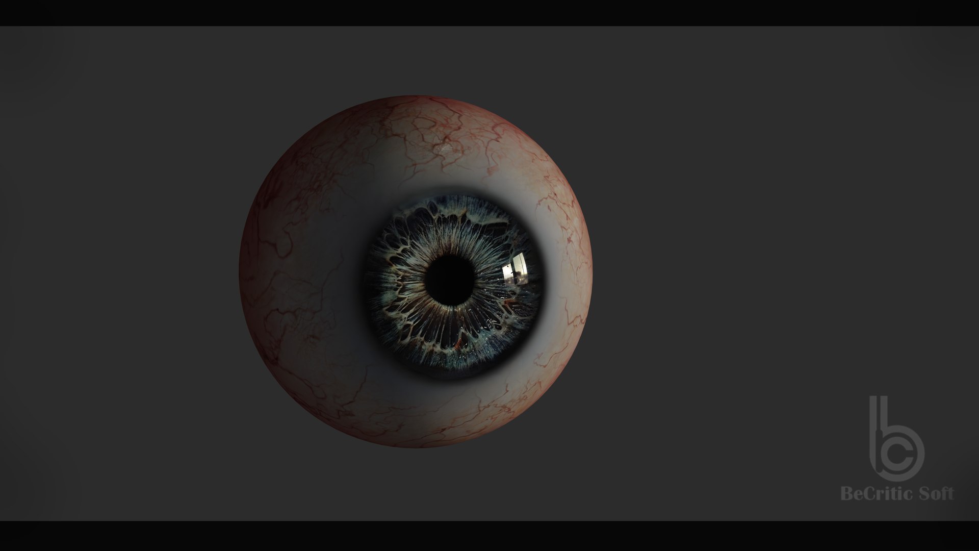 3D Eyeball - Anatomic Based Model - TurboSquid 2011150