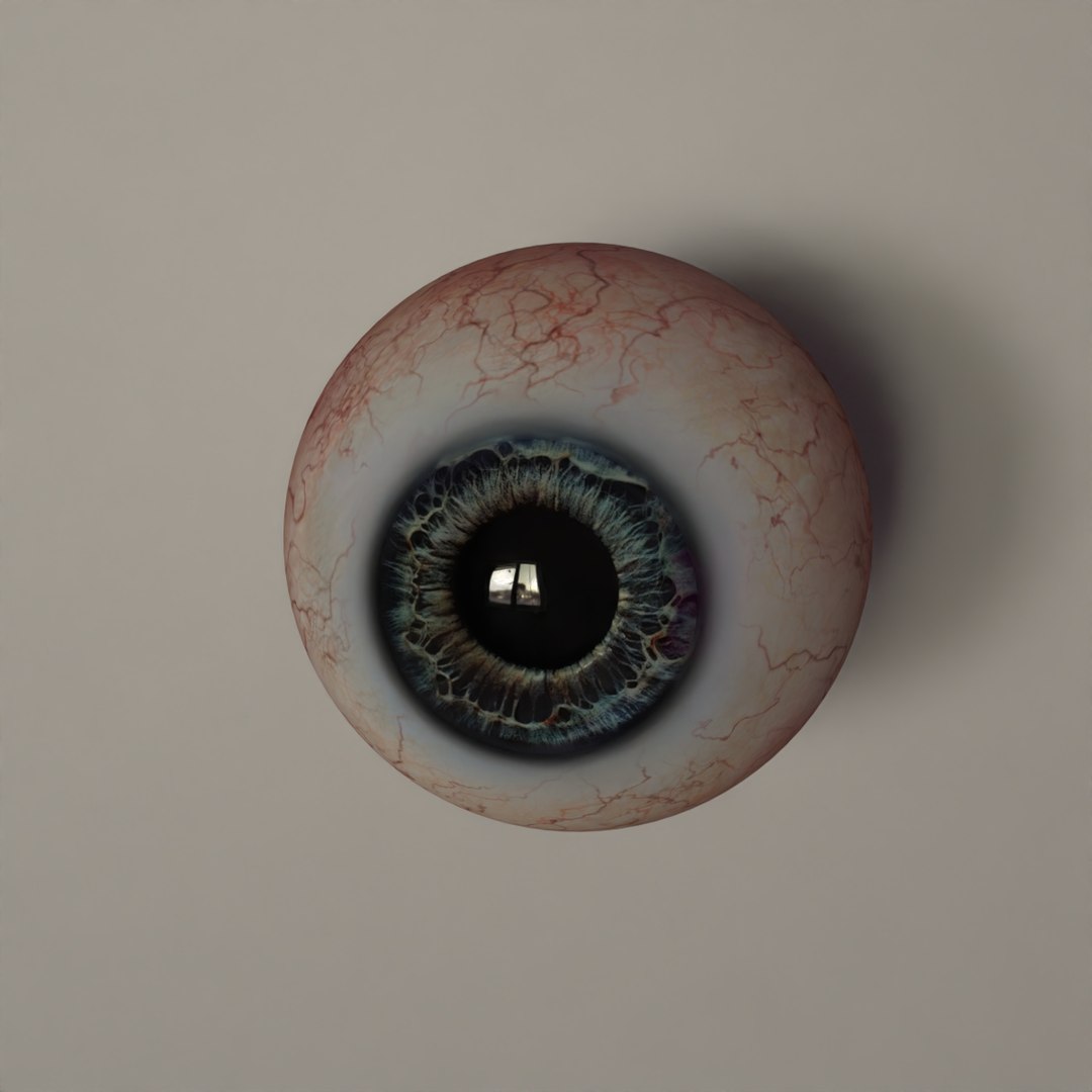 3D Eyeball - Anatomic Based Model - TurboSquid 2011150