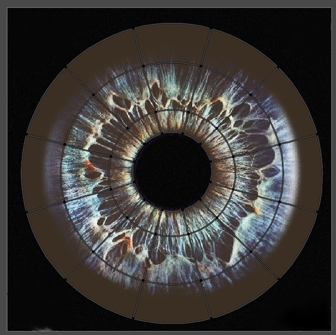 3D Eyeball - Anatomic Based Model - TurboSquid 2011150