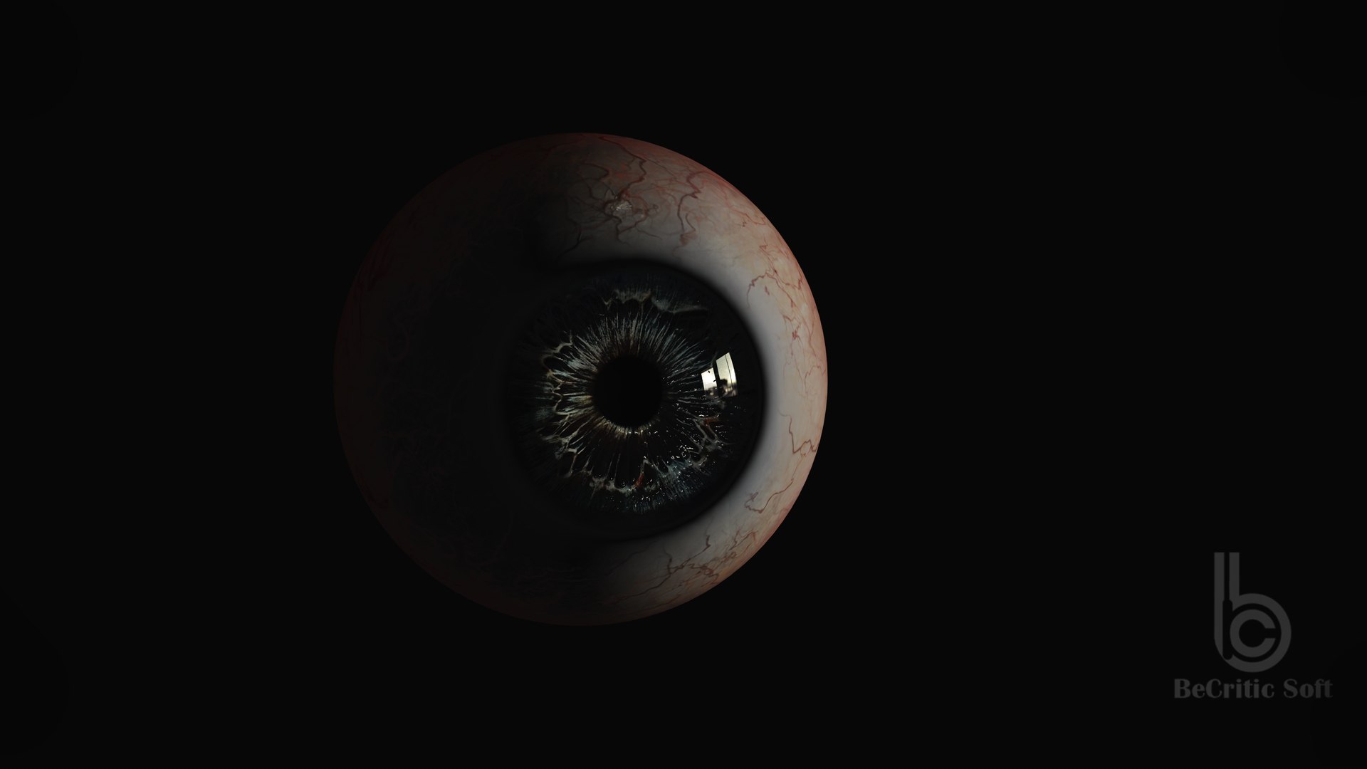 3D Eyeball - Anatomic Based Model - TurboSquid 2011150