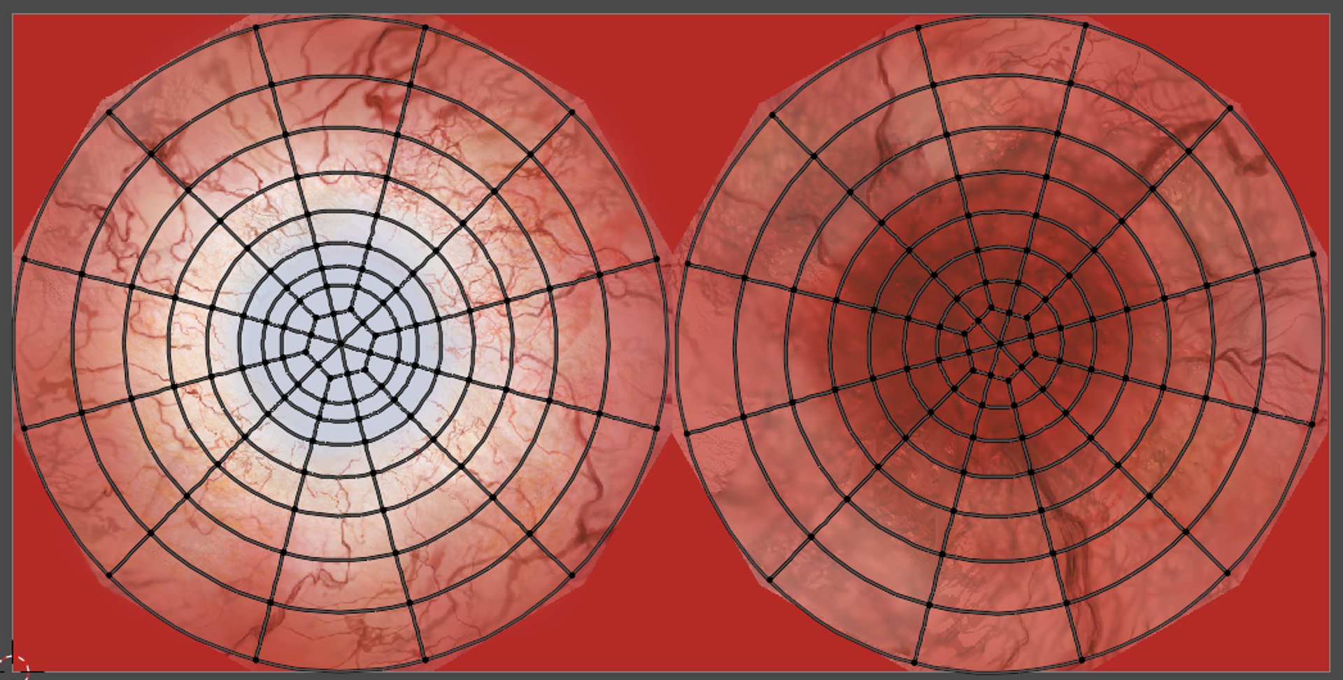 3D Eyeball - Anatomic Based Model - TurboSquid 2011150