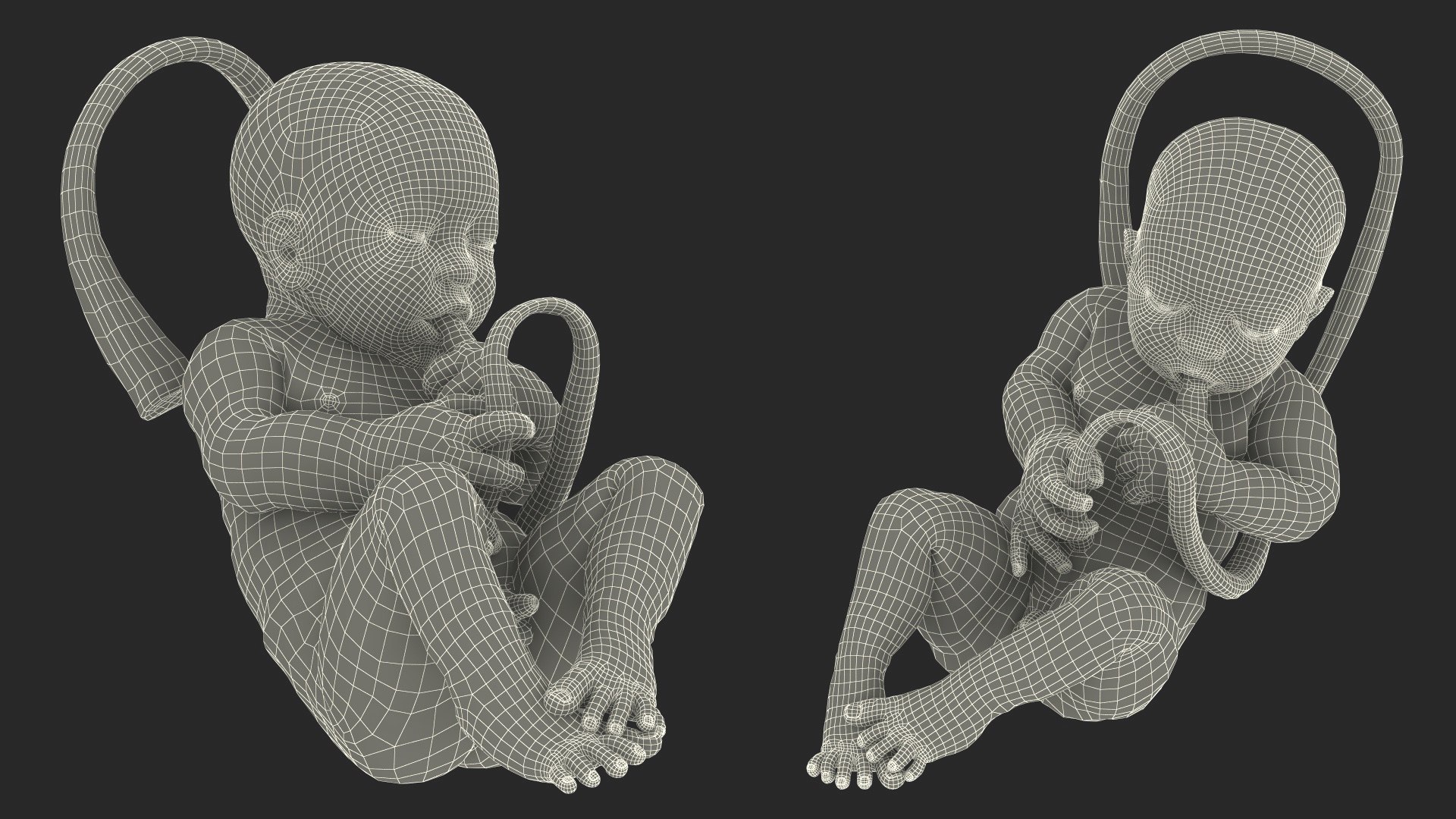 Human Artificial Womb With Child White Model - TurboSquid 2136811