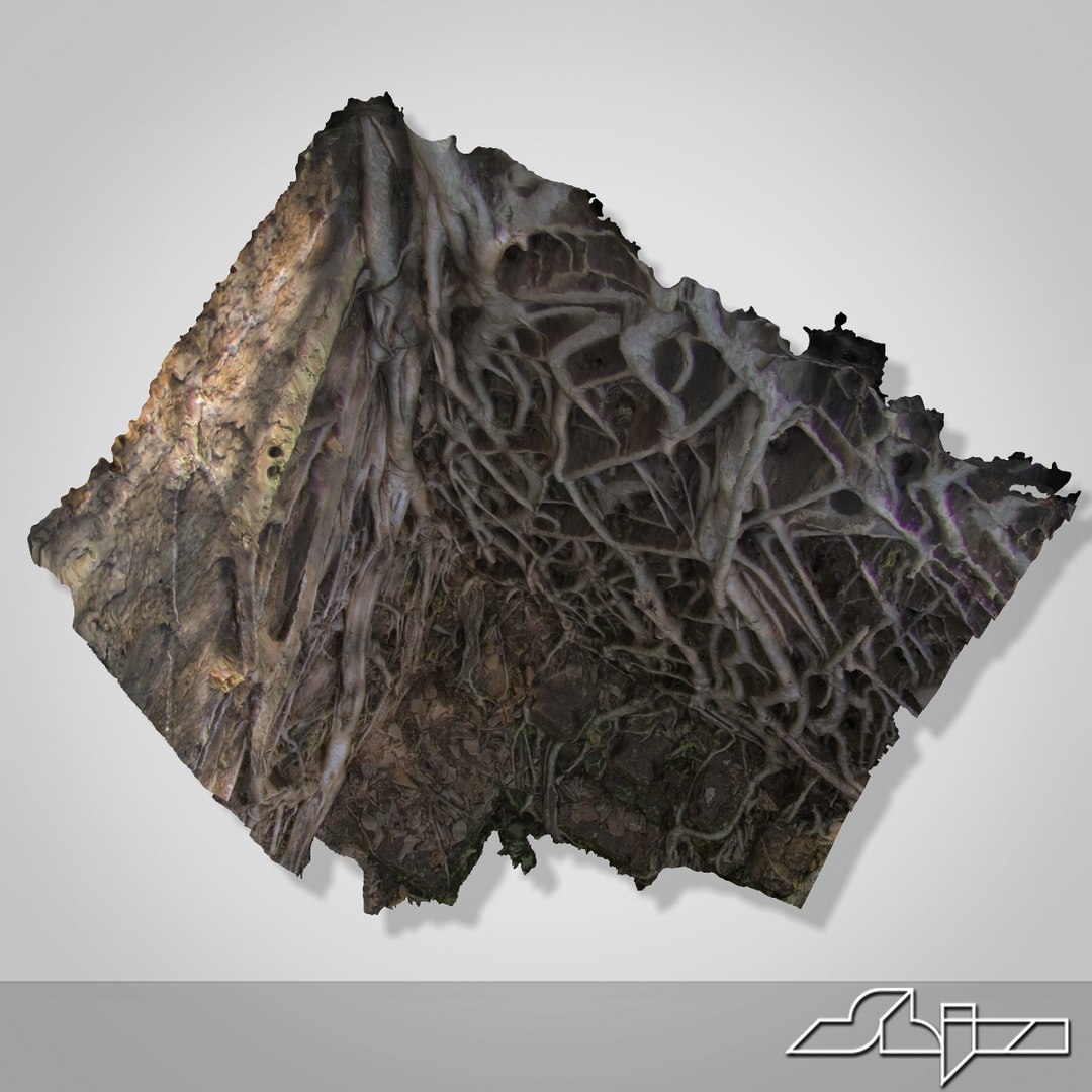 Max Banyan Roots Wall Scan