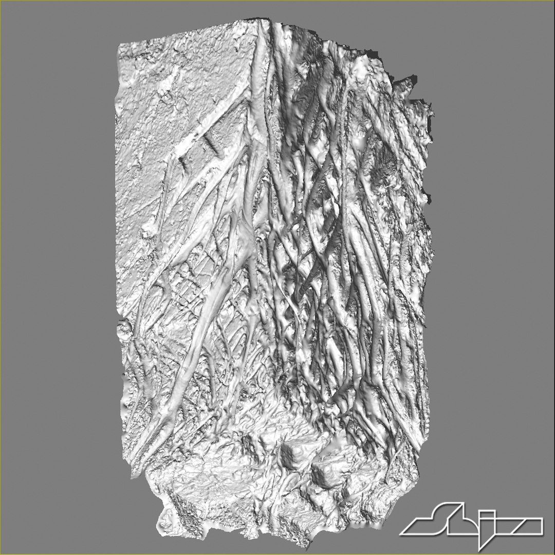 Max Banyan Roots Wall Scan