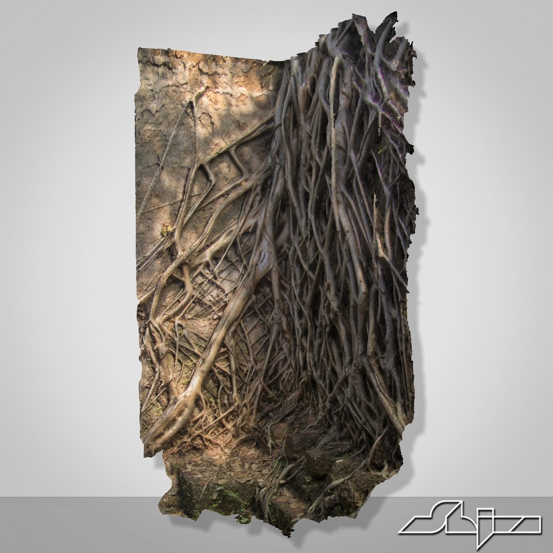 Max Banyan Roots Wall Scan