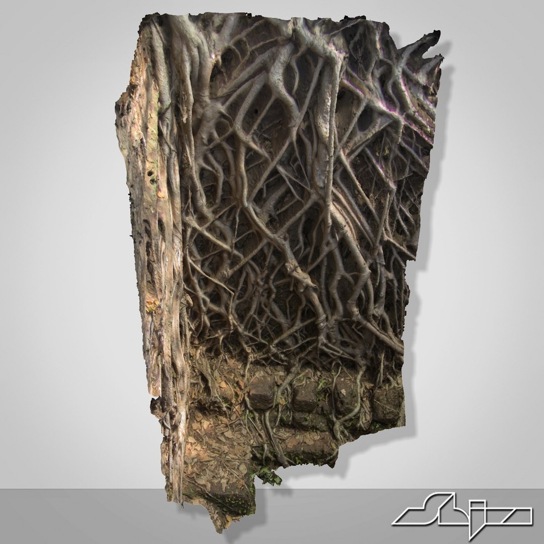 Max Banyan Roots Wall Scan