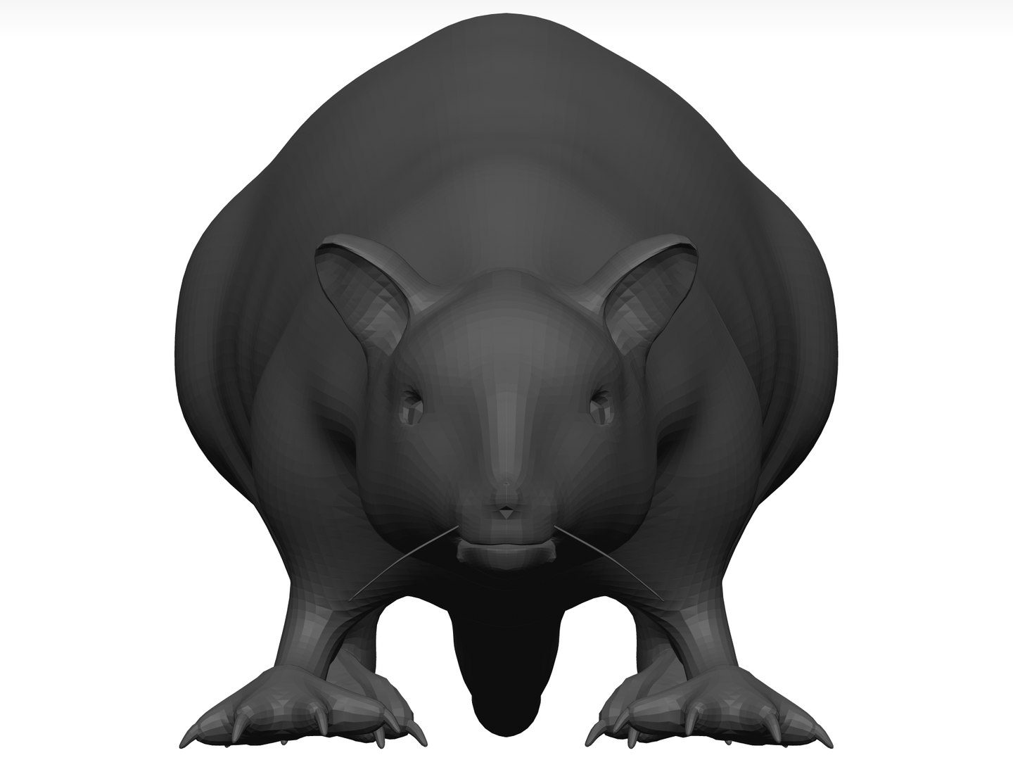 Rat Stl 3D - TurboSquid 1774289