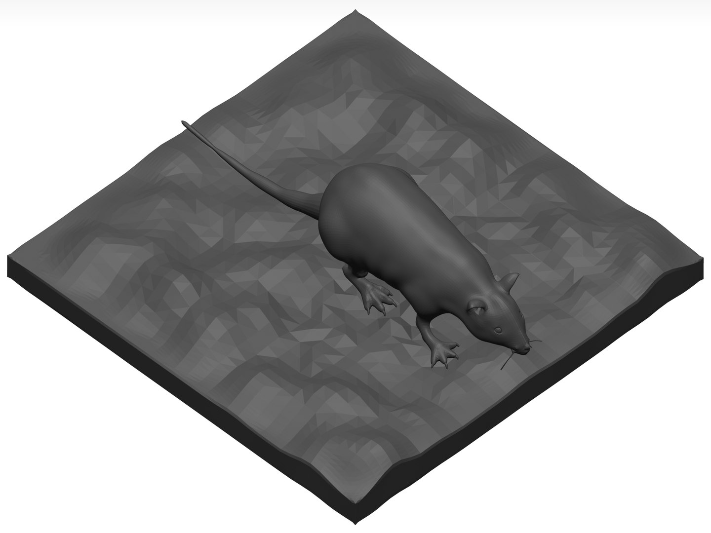 Rat Stl 3D - TurboSquid 1774289