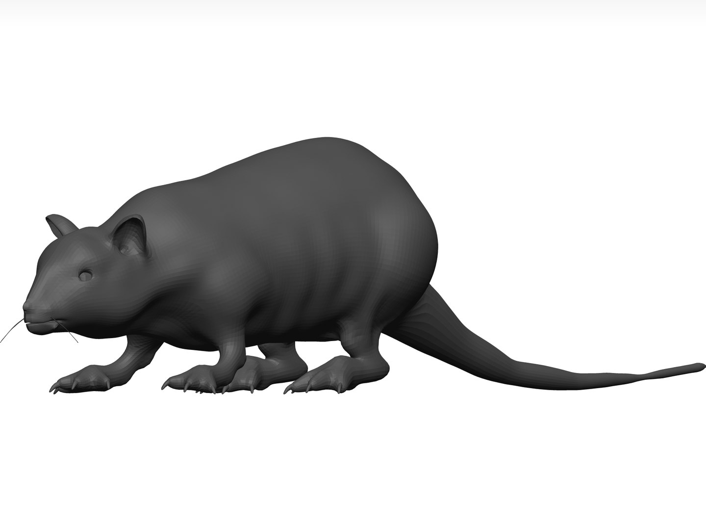 Rat Stl 3D - TurboSquid 1774289