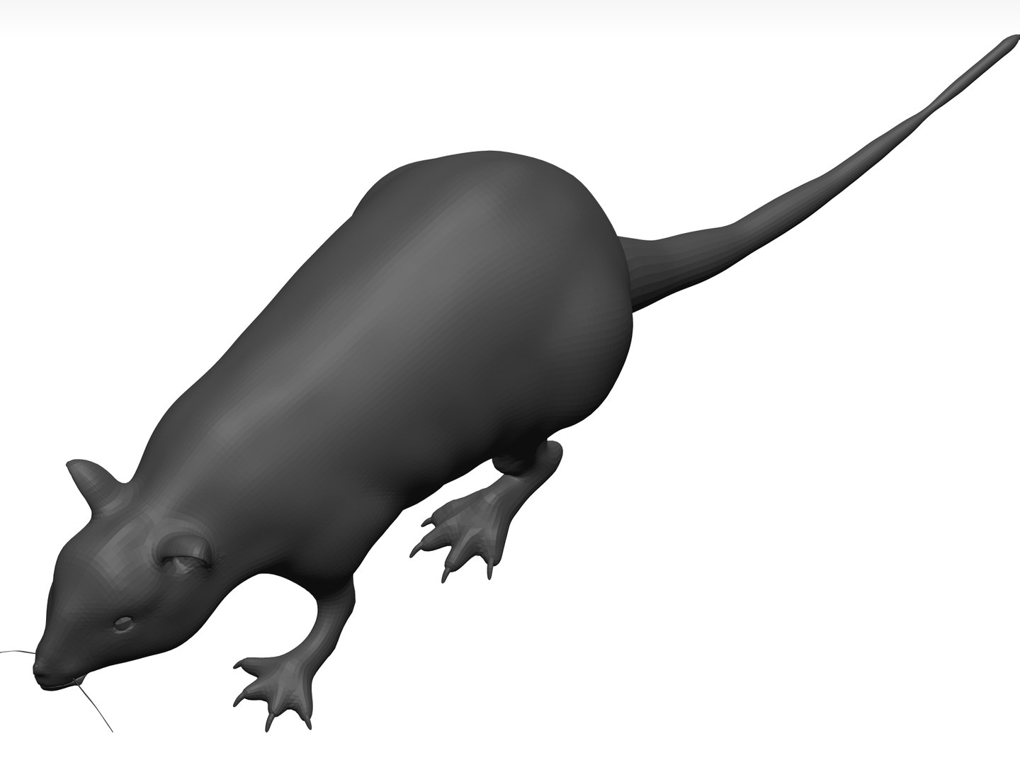 Rat Stl 3D - TurboSquid 1774289