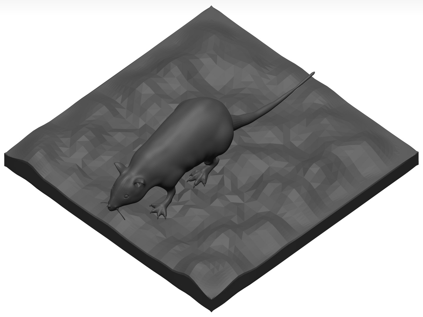 Rat Stl 3D - TurboSquid 1774289